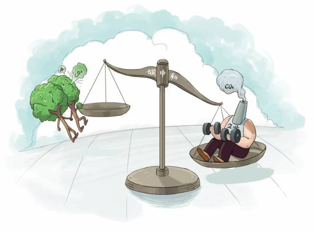 如何不漂绿又不沉默？丨“中国漂绿榜（2023-2024年）”解析_南方+_南方plus