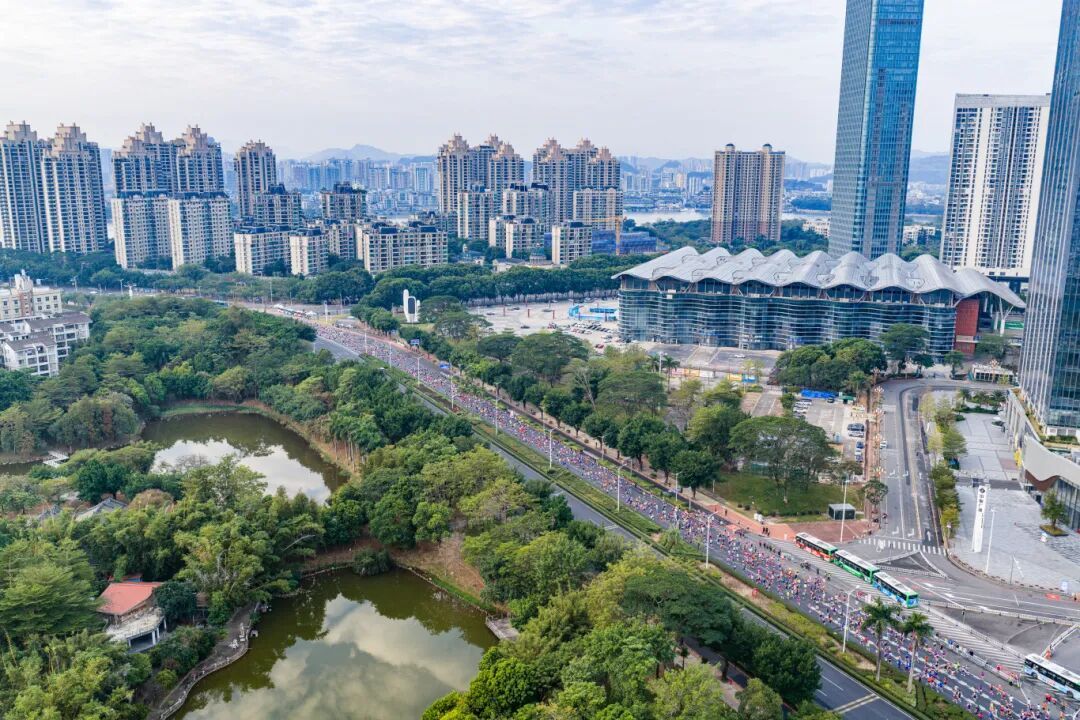 燃爆！TCL·2025惠州马拉松激情奔跑！_南方+_南方plus