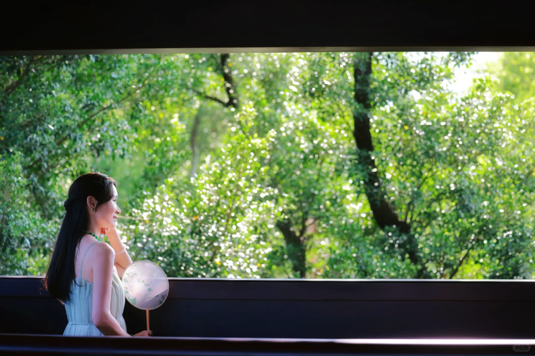 惠州「魔法之窗」，每一帧都出片_南方+_南方plus