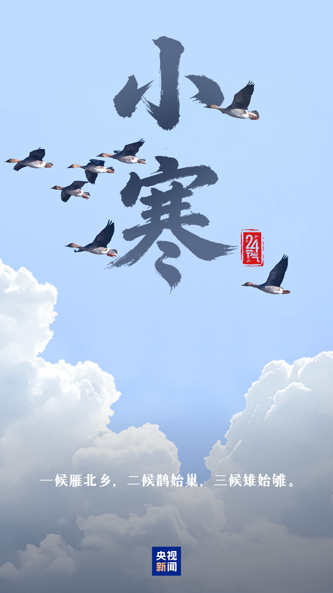 小寒已至，年味渐浓，等一场春暖花开_南方+_南方plus