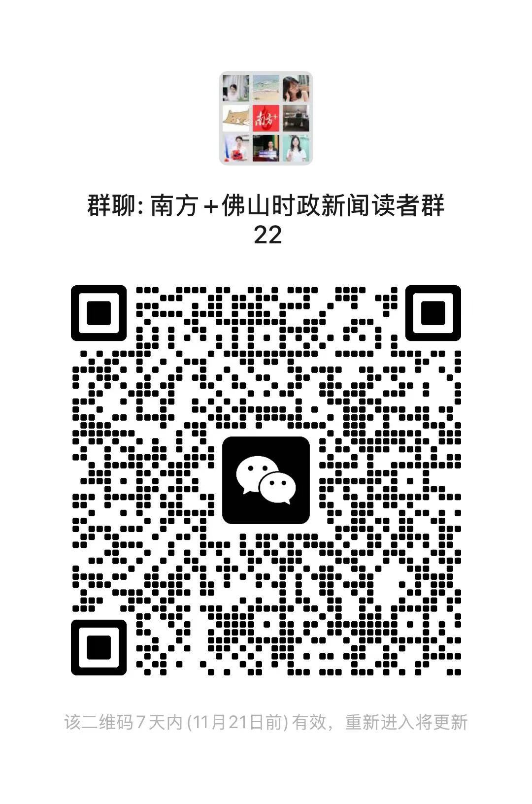 近200幅猫画展出！周末来佛山石湾东华慧美艺术馆看展_南方+_南方plus