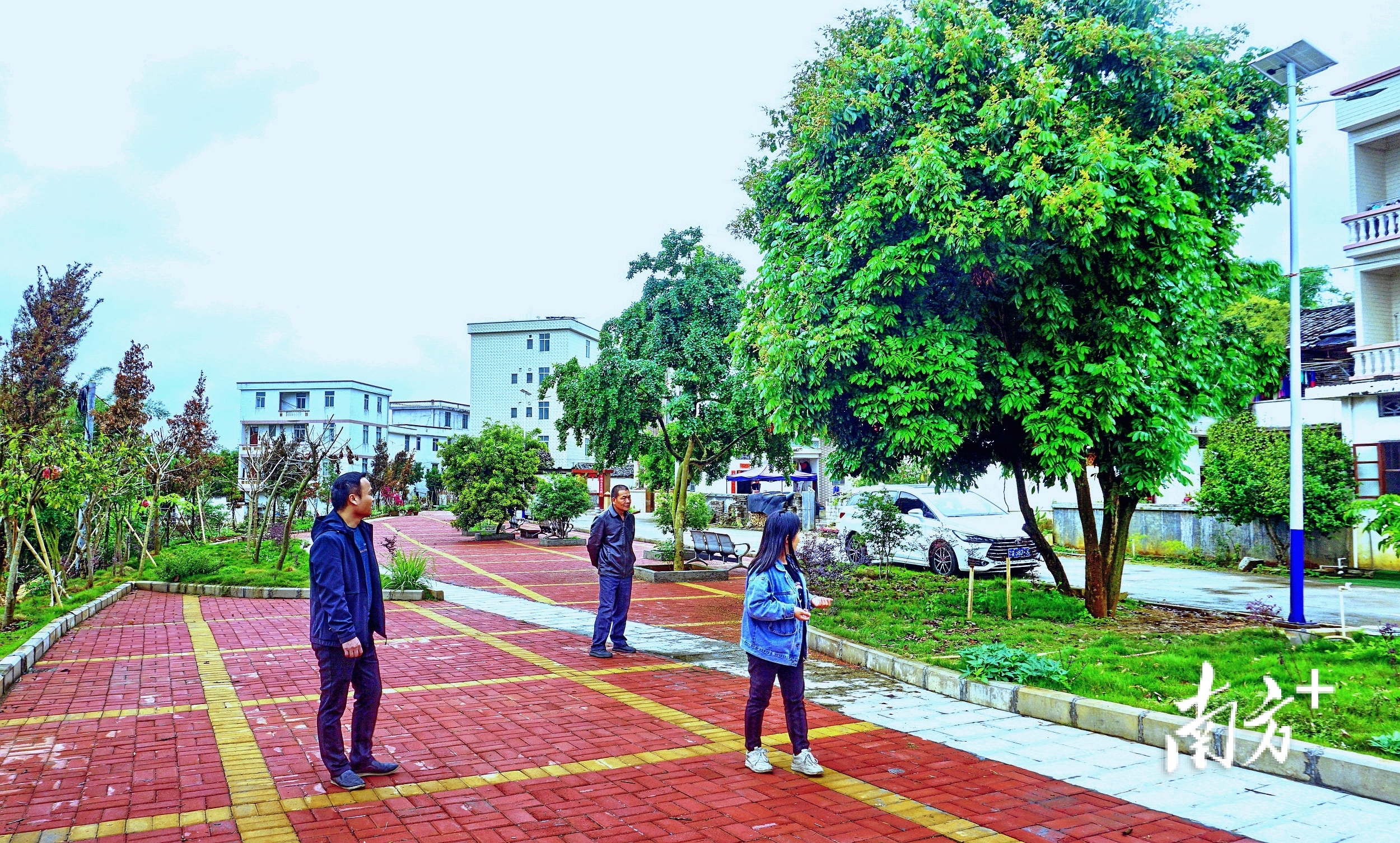 从“水库移民村”到“省级典型村”，看郁南这座村庄的三次蝶变_南方+_南方plus
