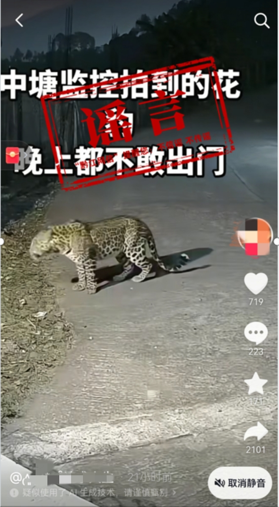 男子下载非本地视频造谣“重庆中塘镇有花豹出没”！已被查处_南方+_南方plus